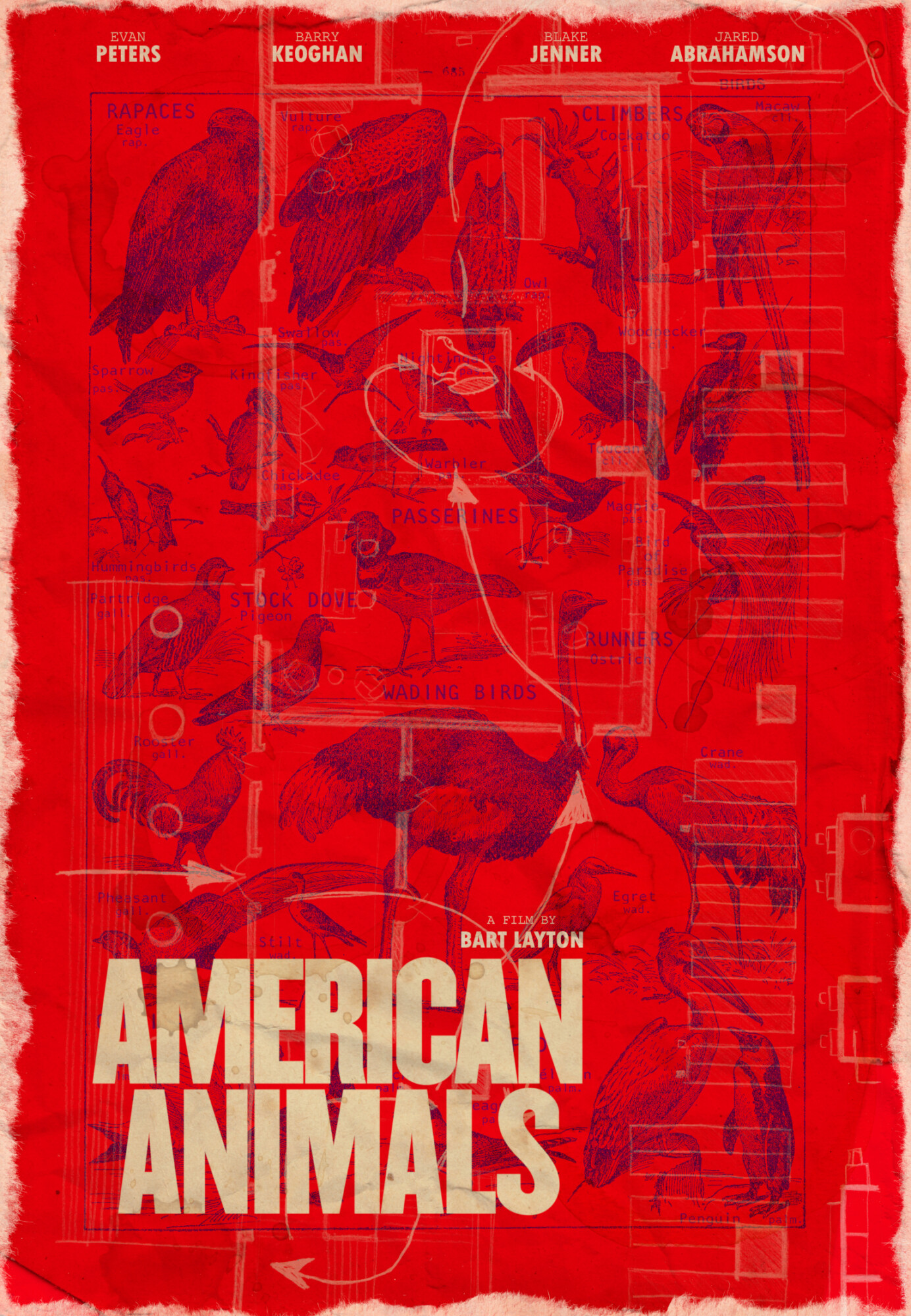 American Animals | Poster By LauraStreit
