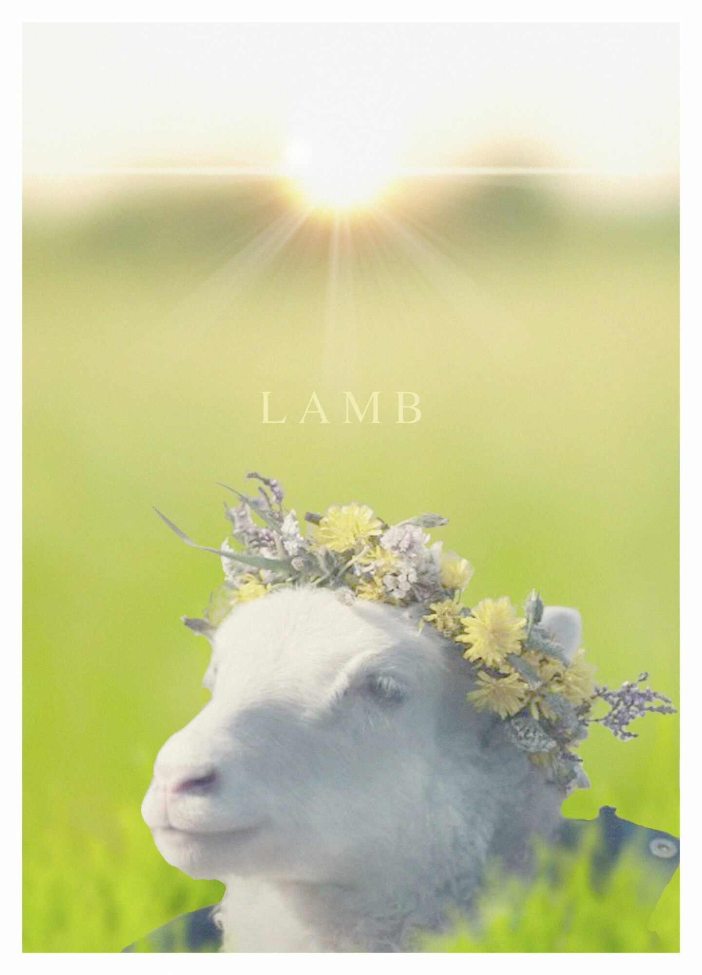Lamb | Poster By RyanJardine