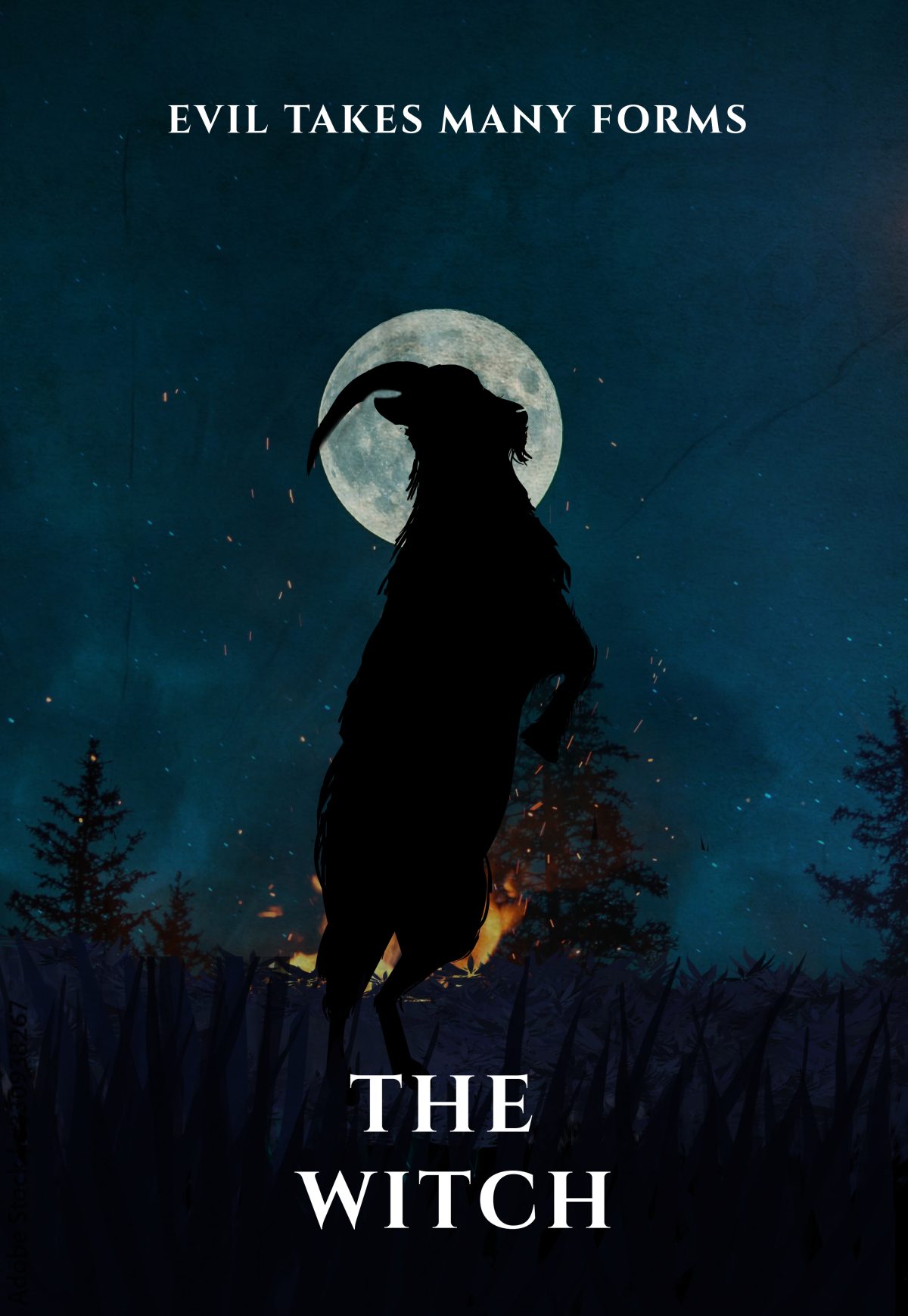 The Witch (Evil Takes Many Forms) | Poster By Saenz_Chinasky