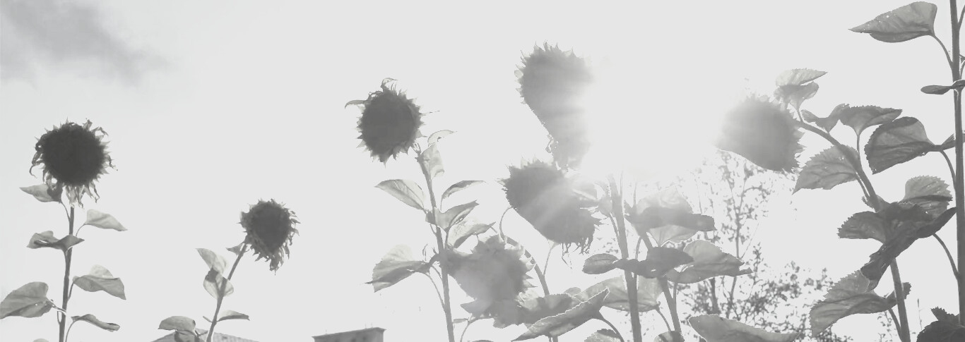 Jesse Hwang, Poster Designer - PosterSpy