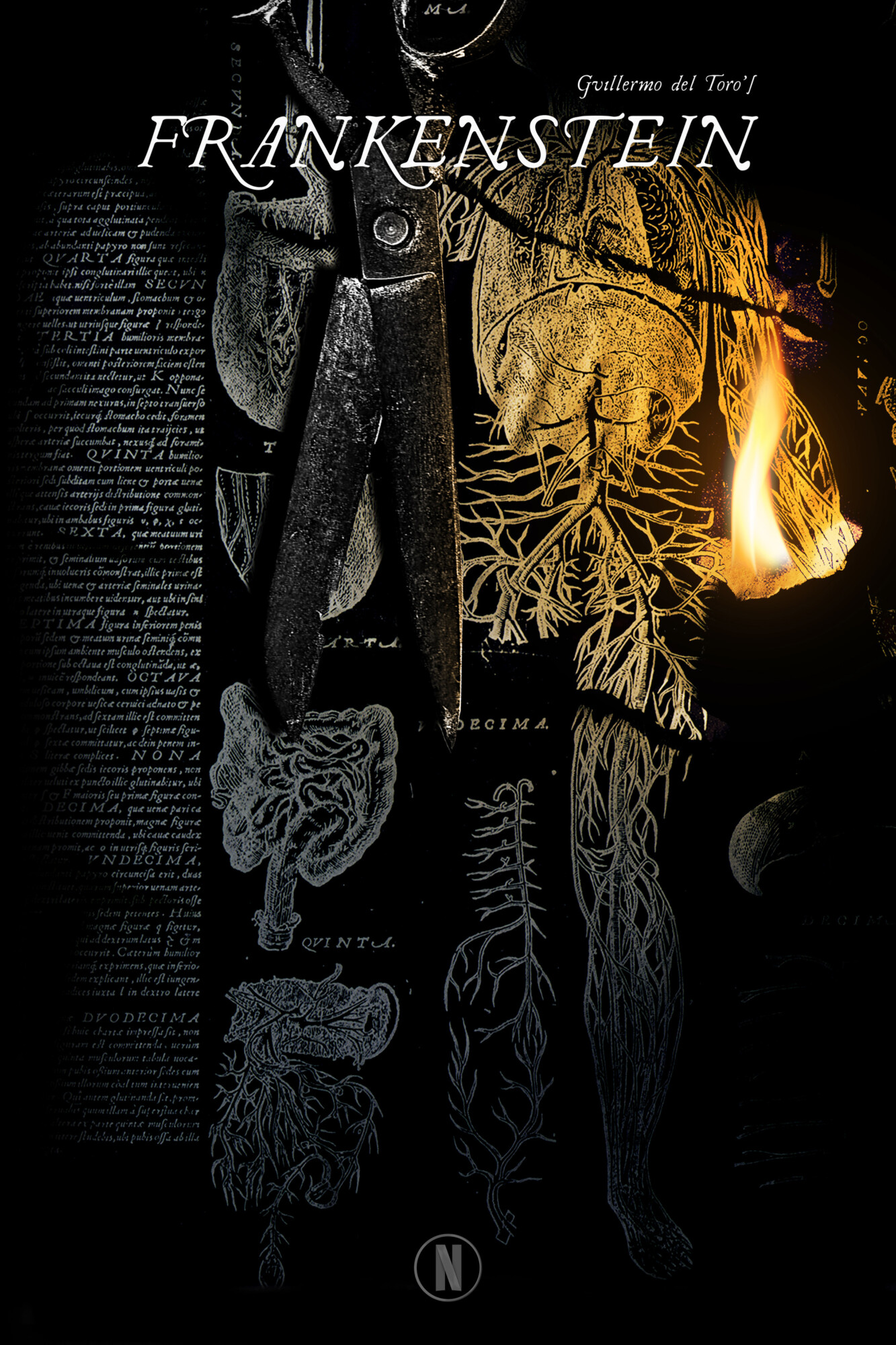 Frankenstein (2025) | Poster By Fabrizio Evangelista