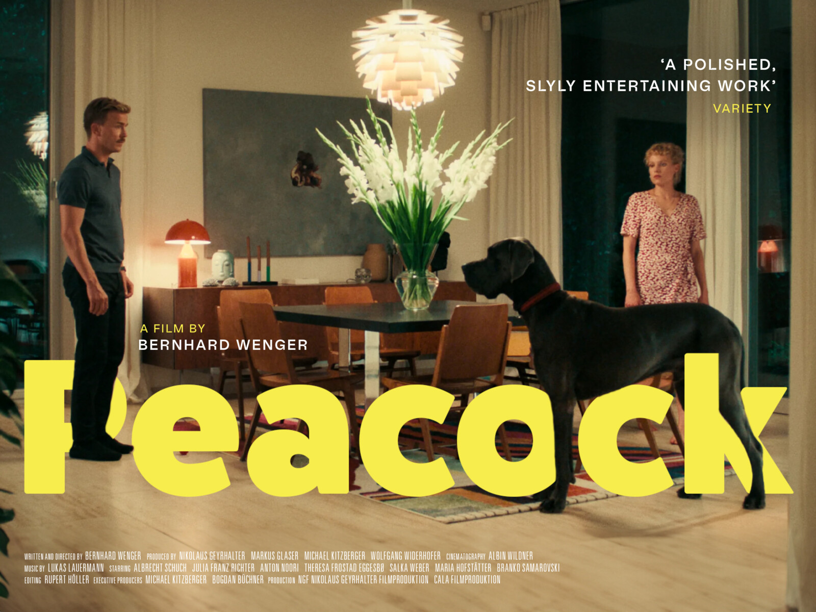 Peacock | Poster By Rhianne Connelly