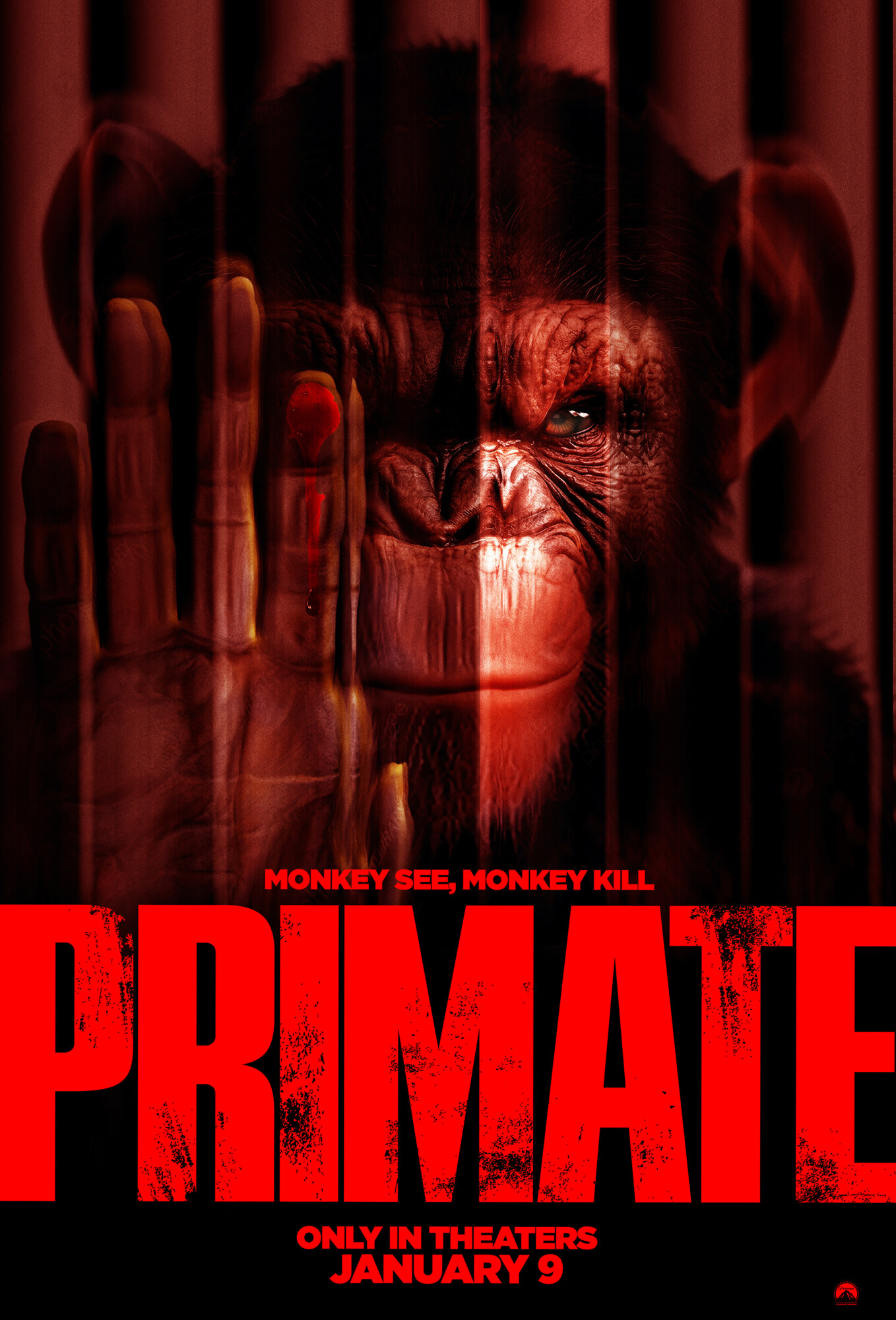 Primate | Poster By Big Picture Co